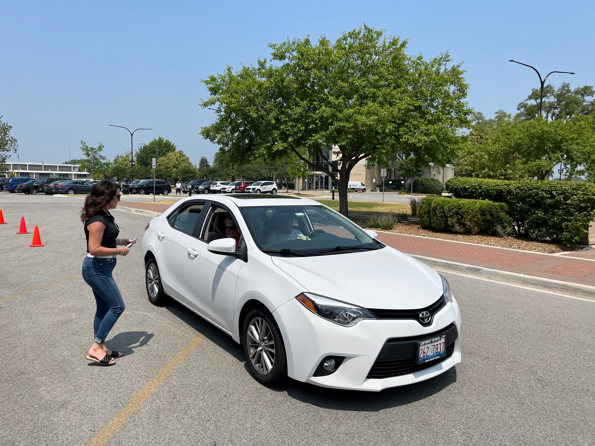 RX Drop Off Event – Addison - Jennifer Sanalitro